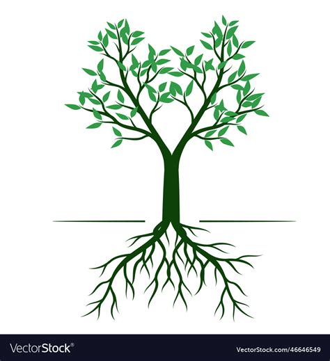 Green Tree With Leaves Outline Royalty Free Vector Image