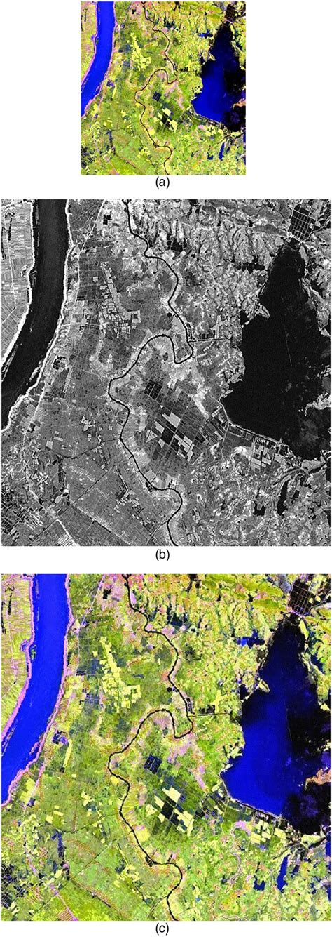 a the original low spatial resolution multispectral images lrmis at