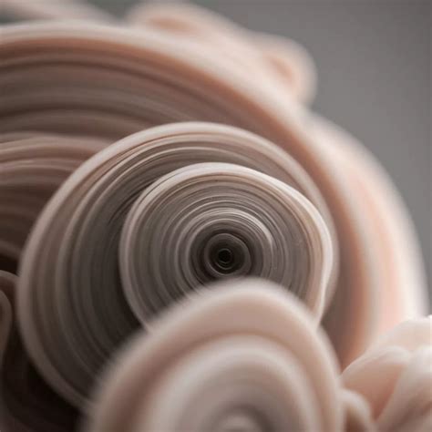 Extinction Vortex → Term