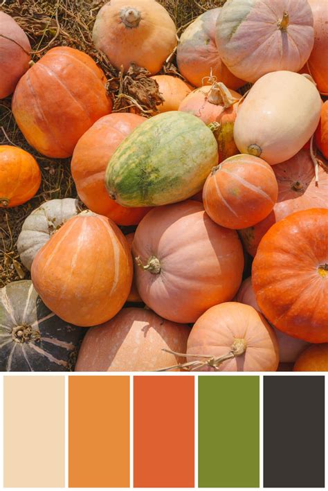 Thanksgiving Colors For The Table And Home