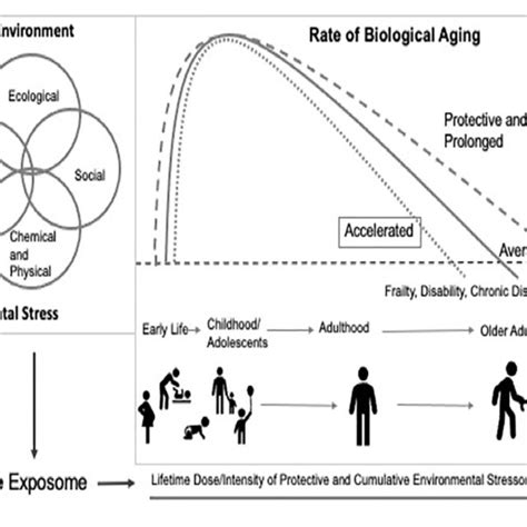 Integrated Aging And Environmental Health Research Download