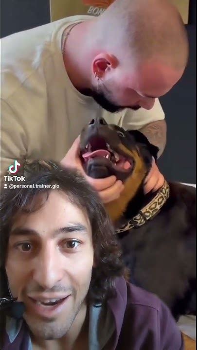 ძაღლი რა კაცი😀 Youtube