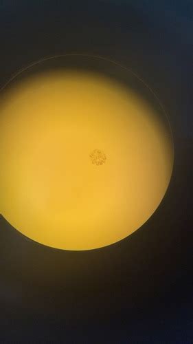 Microbiology Lab Quiz 2 Flashcards Quizlet
