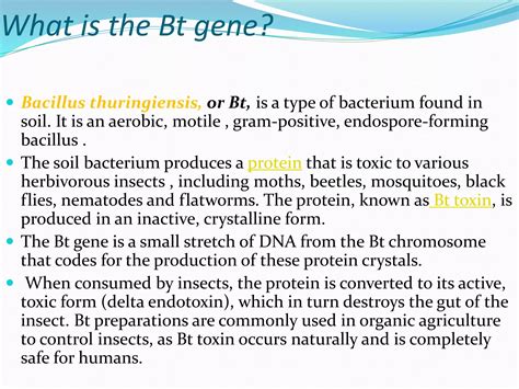 Insect Resistance Plant Bt Gene Pptx
