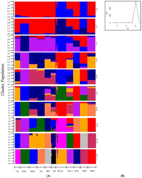 Genetic Diversity Runs Of Homozygosity And Selection Signatures In Native Japanese Chickens