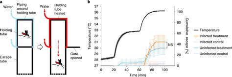 Behavioural Assay To Investigate Thermal Avoidance Behaviour Of A Download Scientific Diagram