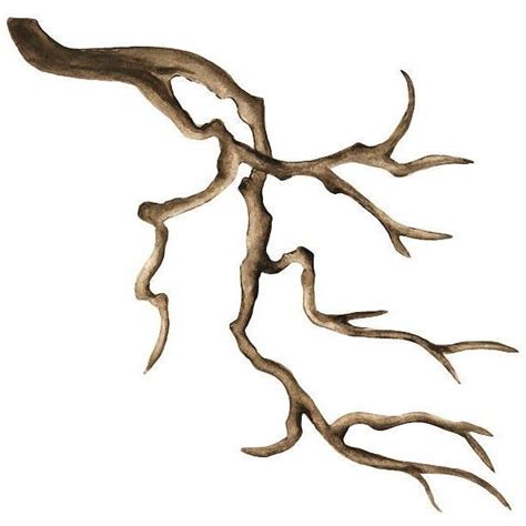 Learn How To Draw A Realistic Tree Branch