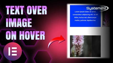 Elementor Text Over Image On Hover Fixed Background 👈👈👈 Youtube