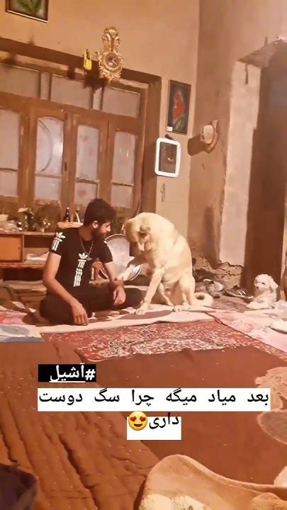 پژی پژدر Youtube