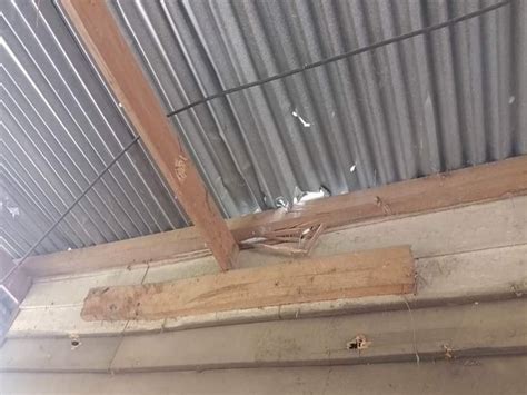 Khit Thit Media On Twitter ကလေးမြို့၊ လက်ပံချောင်းရွာကို စစ်တပ်က လက်နက်ကြီးဖြင့် ပစ်ခတ်မှု ပြည