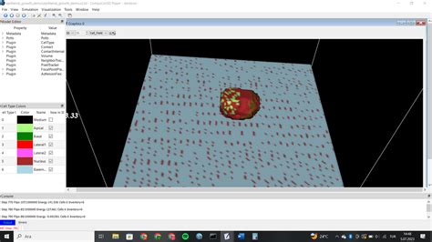 Difference In Cells And Cell Borders Rcompucell3d