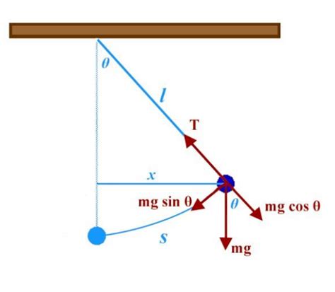 Simple Pendulum Free Body Diagram Physical Pendulum Image And Photo
