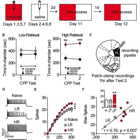 Intrinsic Excitability Of Prelimbic Medial Prefrontal Cortex Pl Mpfc Download Scientific