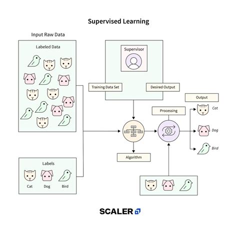 Types Of Machine Learning Expert Insights For Beginners