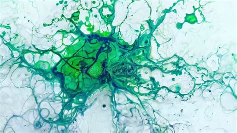 Mold Fungus Close Up With Characteristic Texture And Shades Of Blue And