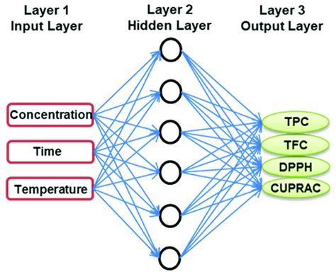 optimal topology of a developed ann model download scientific diagram