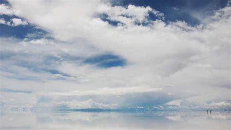 Cincinnati Bengals Officially Licensed Nfl Hard Arm Chair