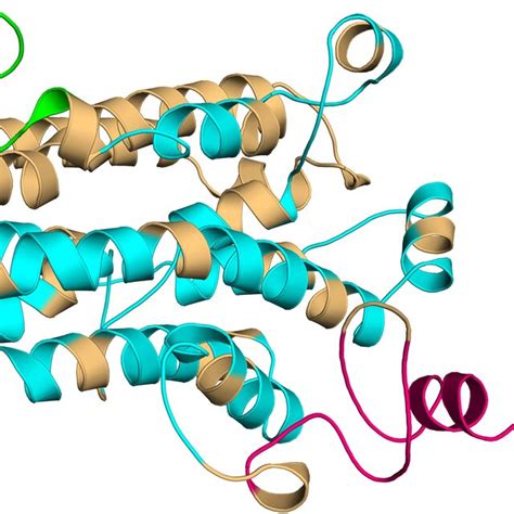 Secondary Structure Prediction Of The Final Multi Epitope Vaccine