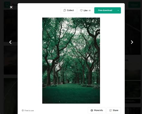 How To Add A Wordpress Gallery Lightbox 4 Easy Steps