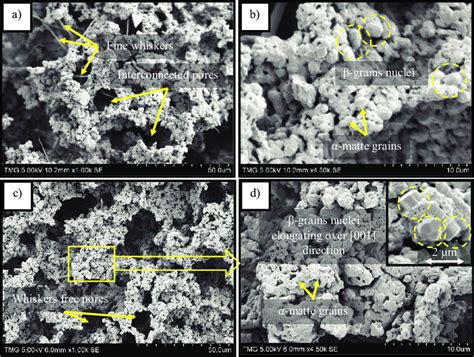 Sem Micrographs Of Samples Containing Cao Nitrided At 1425°c For 2 Hr