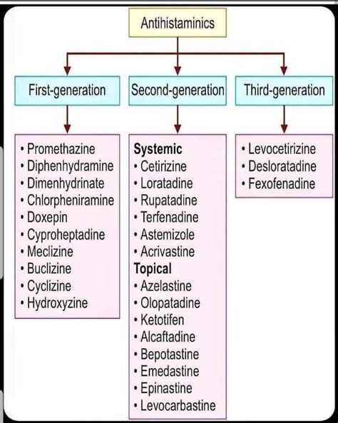 H1 Antihistamine Drug Classification Stock Illustration 46 Off