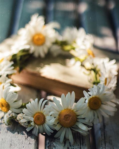 Венок из ромашек 74 фото