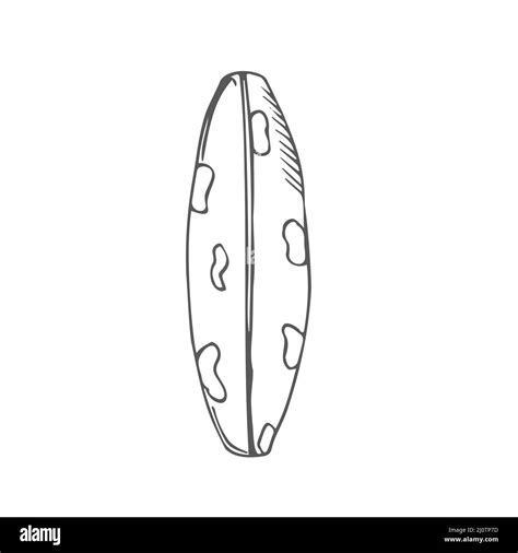 Surfboard Outline Drawing At Lucas Angas Blog