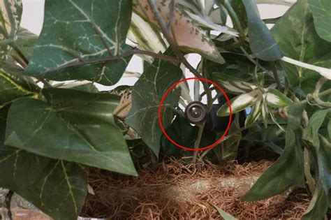 Florida Condo President Hid Spy Camera In Guest Bedroom Cops