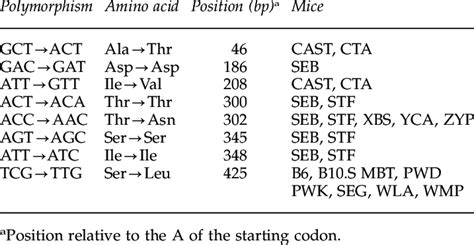 Polymorphisms In The Ifng Coding Sequence Download Table