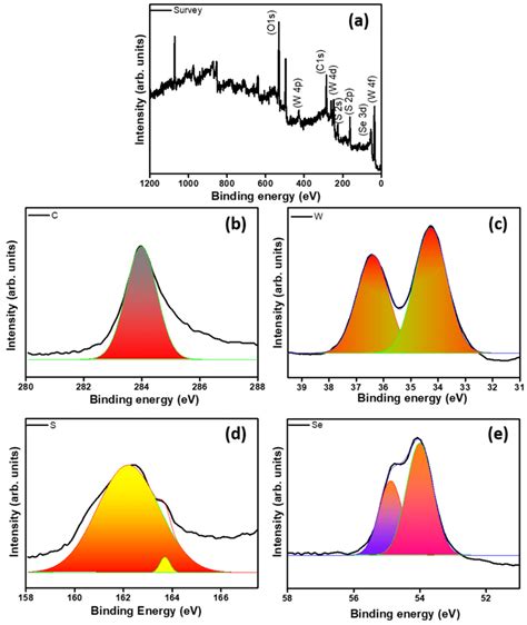 X Ray Photoemission Spectroscopy Scan For Ws1−xsexgraphenenf A Download Scientific X Ray Photoemission Spectroscopy Scan For Ws1−xsexgraphenenf A Download Scientific