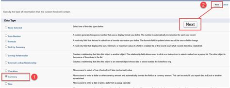 Salesforce Currency Field