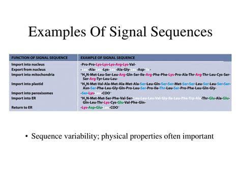 Signal Sequence Example At Gabriel Basser Blog