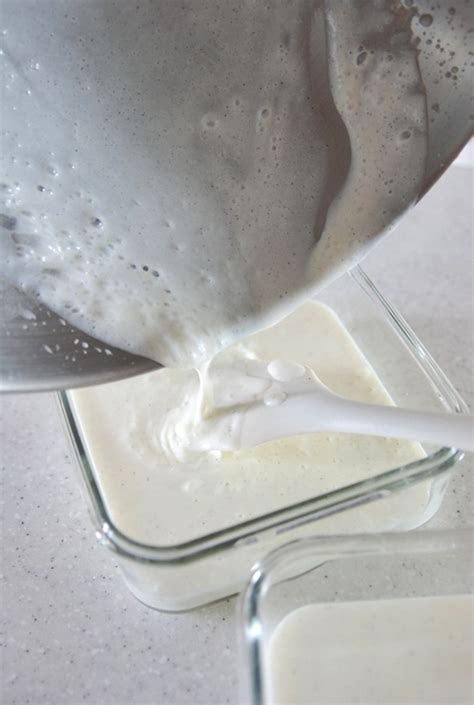 홈메이드 아이스크림 만들기