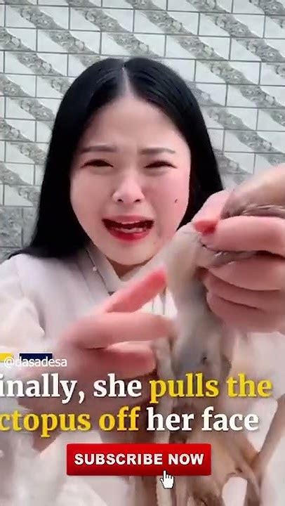 බූවල්ලෙක් කන්න ගිහින් වෙච්ච දෙයක් 😂 Youtube