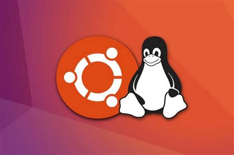 Tổng hợp tự học cách sử dụng Linux Ubuntu từ cơ bản Góc Info
