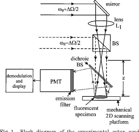 Figure 1 From Three Dimensional Holographic Fluorescence Microscopy Semantic Scholar