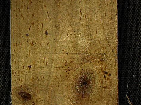 Wooddefect2 Object Detection Dataset And Pre Trained Model By Wood