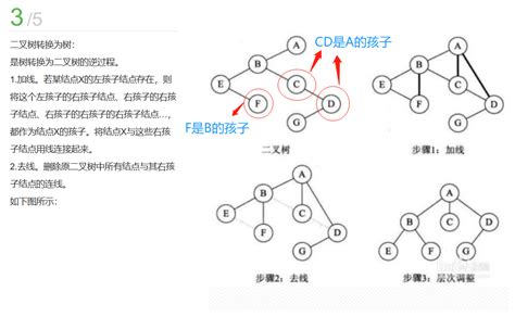 树、森林与二叉树的相互转换二叉树对应树林 Csdn博客