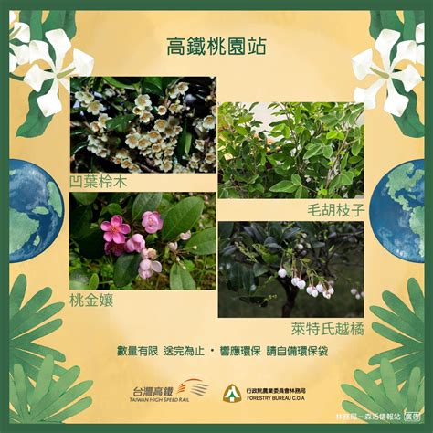 林務局 森活情報站 【🌳響應世界地球日 邀您一起共植美好🌳】 林務局 X 台灣高鐵 與您攜手守護環境 Facebook