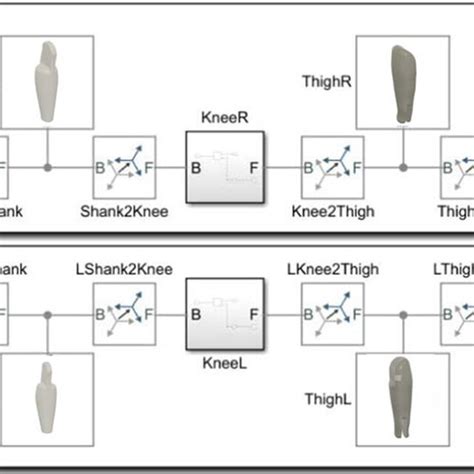 Human Chain Modeling Scheme In Matlabsimulink Multibody Download Scientific Diagram