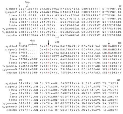Molecular Phylogenetics Flashcards Quizlet