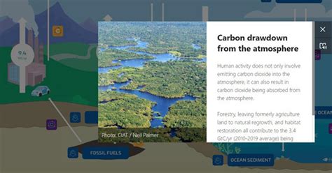Carbon Fluxes Interactive Advanced Images Encounter Edu