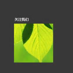 联系方式 北京博瑞金属加工有限公司