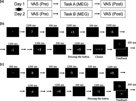 Experimental Procedure A The Participant Performed Two Types Of