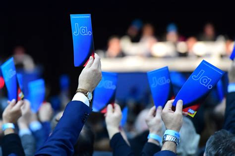 Afd Antrag Auf Mitgliederparteitag Scheitert