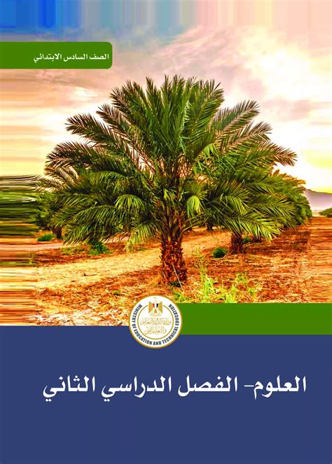 تحميل كتاب الوزارة فى مادة تكنولوجيا المعلومات والاتصالات للصف السادس