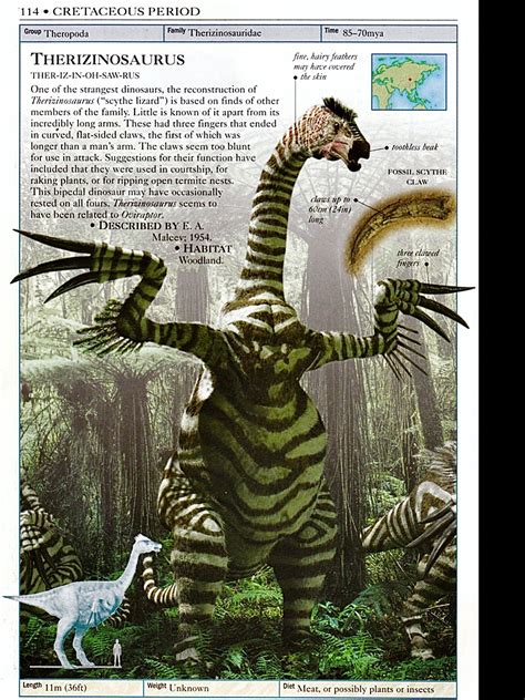 More Living Dinosaurs Report From Papua New Guinea Ghost Theory