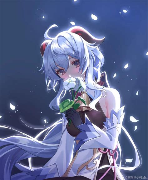 Linux初识：基本指令 Csdn博客