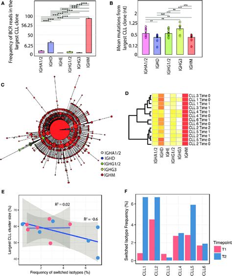 Relationship Between Somatic Hypermutation Class Switching And Download Scientific Diagram