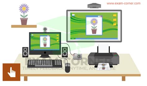 Computers Input And Output Devices Exam Corner